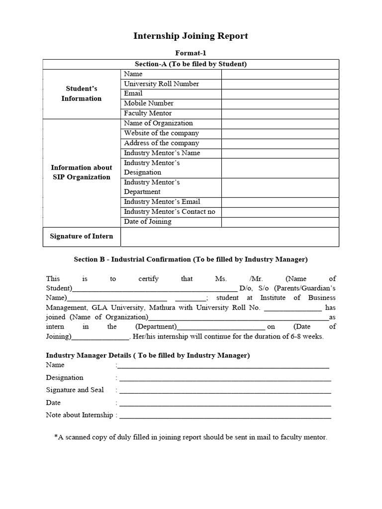 Format 1 Internship Joining Report1122 | PDF