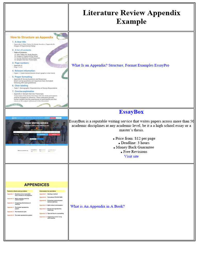 Literature Review Appendix Example | PDF | Essays | Apa Style