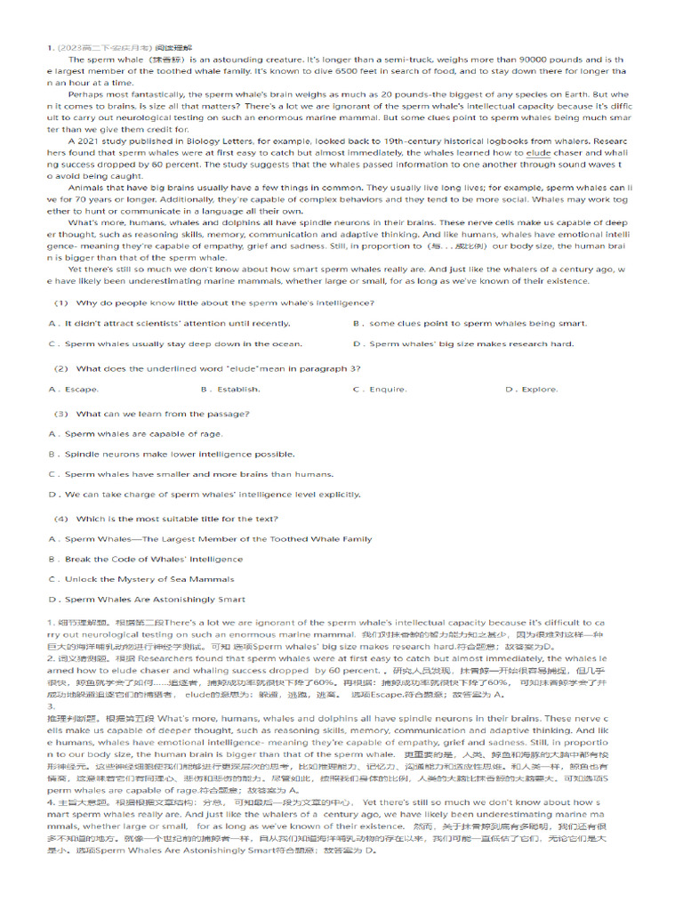 English Reading | PDF