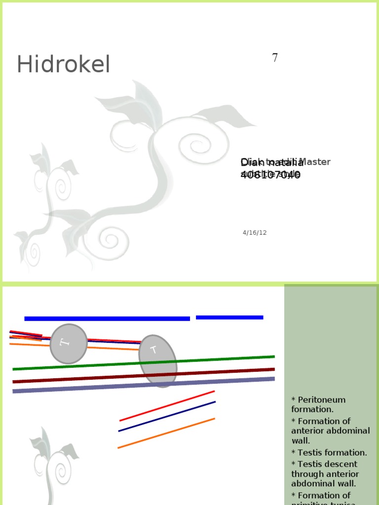 Hidrokel: Dian Natalia 406107040 | PDF | Testicle | Mammal Reproductive ...