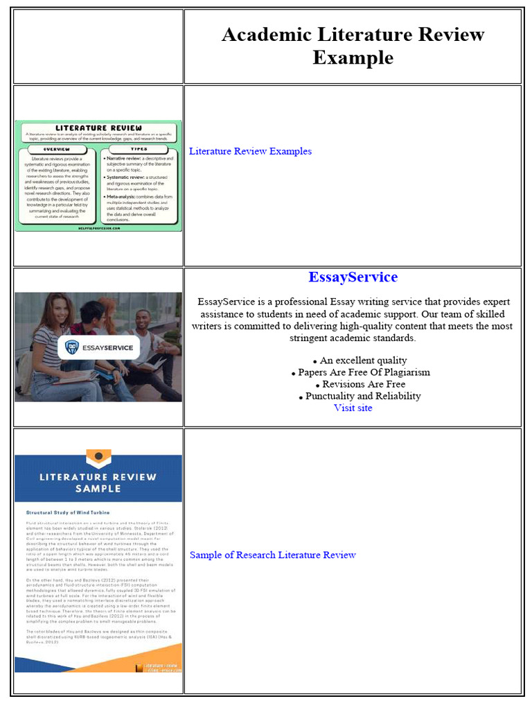Academic Literature Review Example | PDF | Essays | Thesis