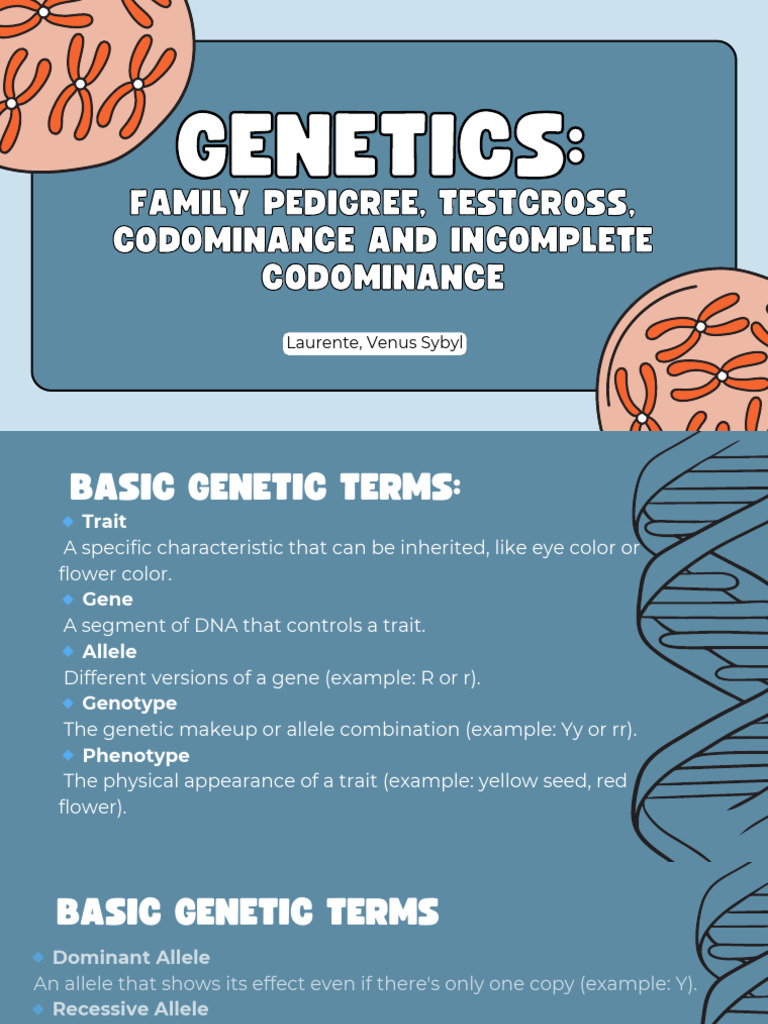 Laurente - Family Pedigree, Test Cross, Codominance and Incomplete ...