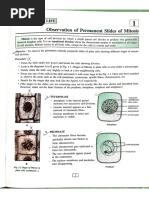Observing Osmosis in Red Onion Cells | PDF | Osmosis | Tissue (Biology)