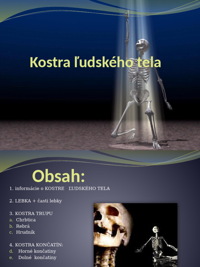Kostra | PDF