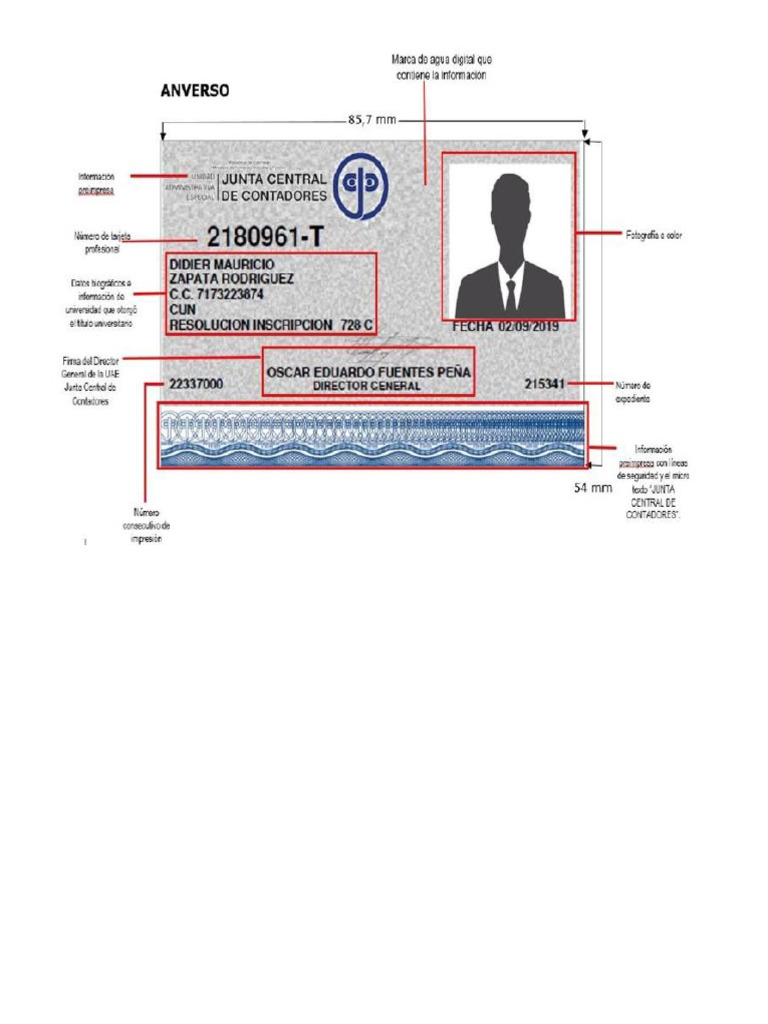 Ejemplo de Tarjeta Profesional Del Contador. | PDF