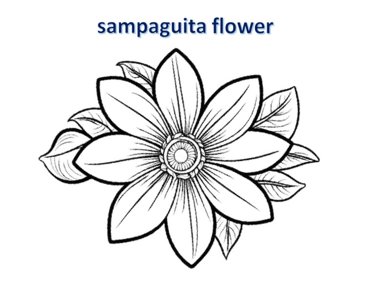 Sampaguita Flower | PDF