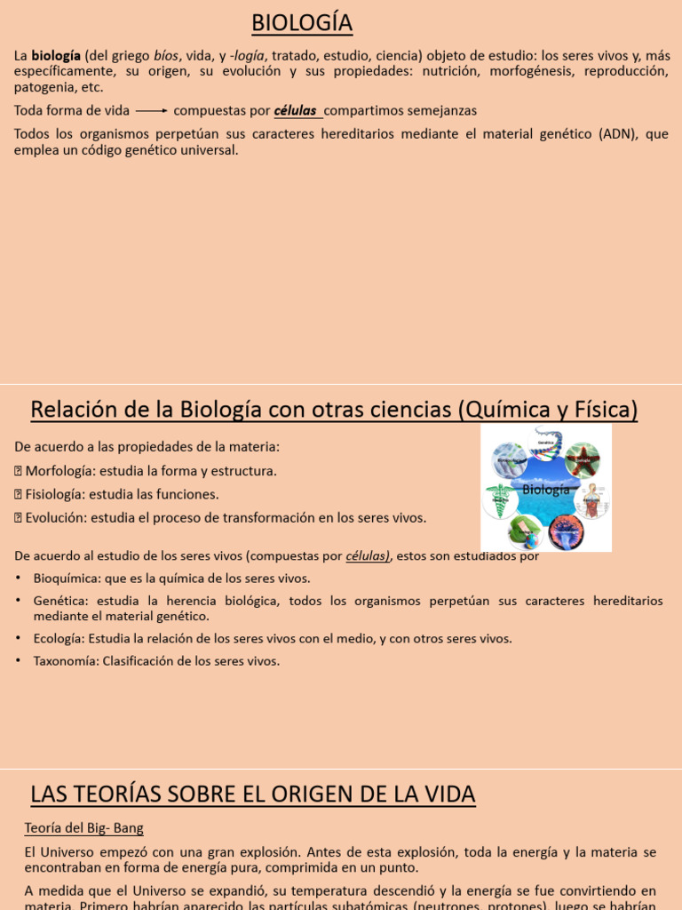 Tema N°1 | PDF | Ácido | Organismos