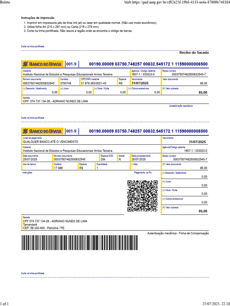 Instruções para Impressão de Boleto PND | PDF | Impressão | Tecnologia ...