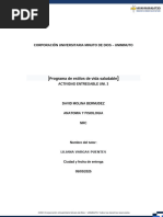 Plan Activate y Vive: Salud Laboral 2023 | PDF | Seguridad y salud ...