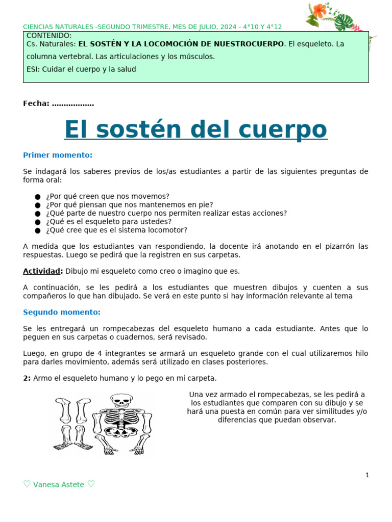 JULIO Cs. Naturales | PDF | Articulación | Esqueleto