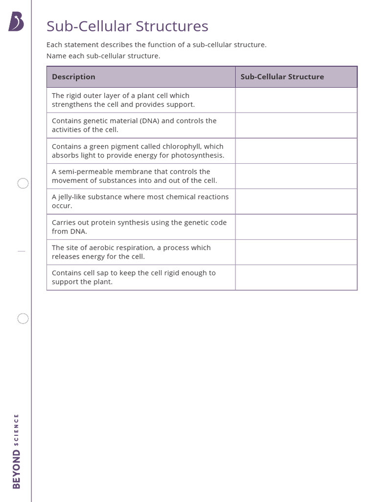 Naming Sub-Cellular Structures Worksheet | PDF