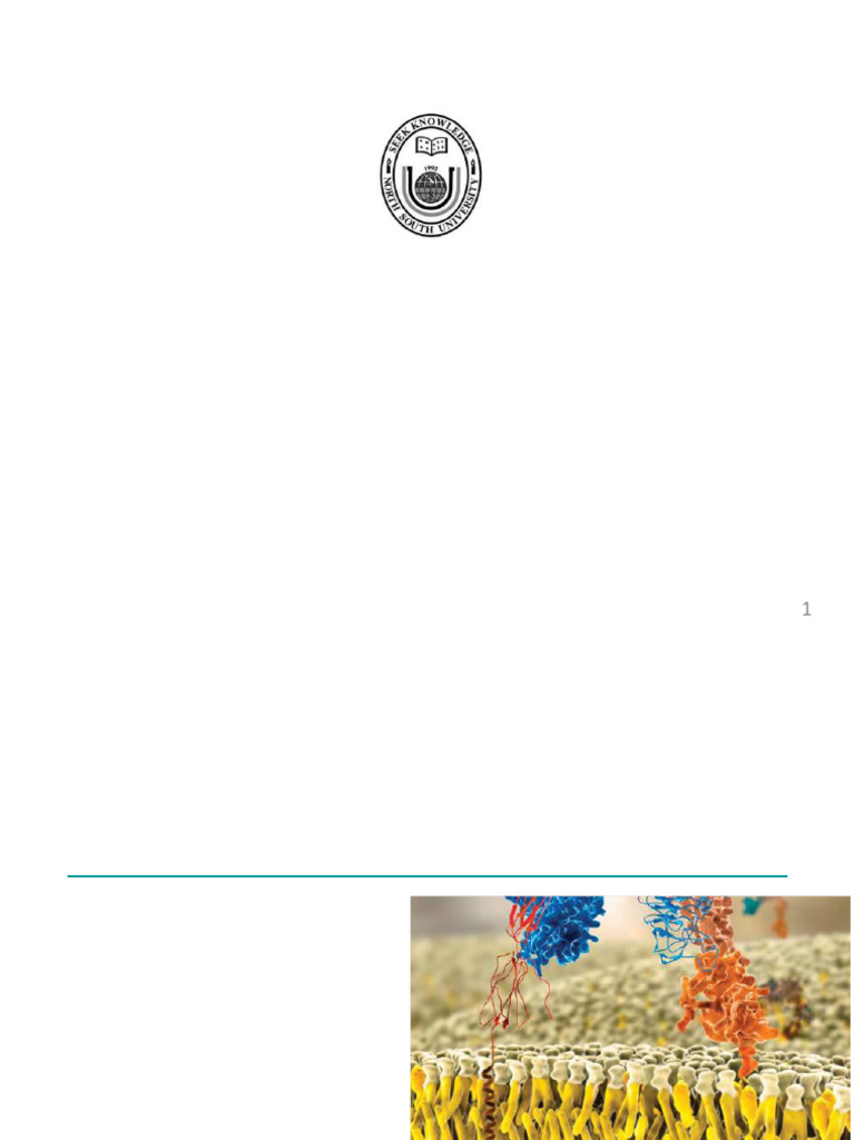 Lecture 2-BBT318-MALM_Cell Structure and Functions-Summer 25 | PDF | Cell Membrane | Lipid Bilayer