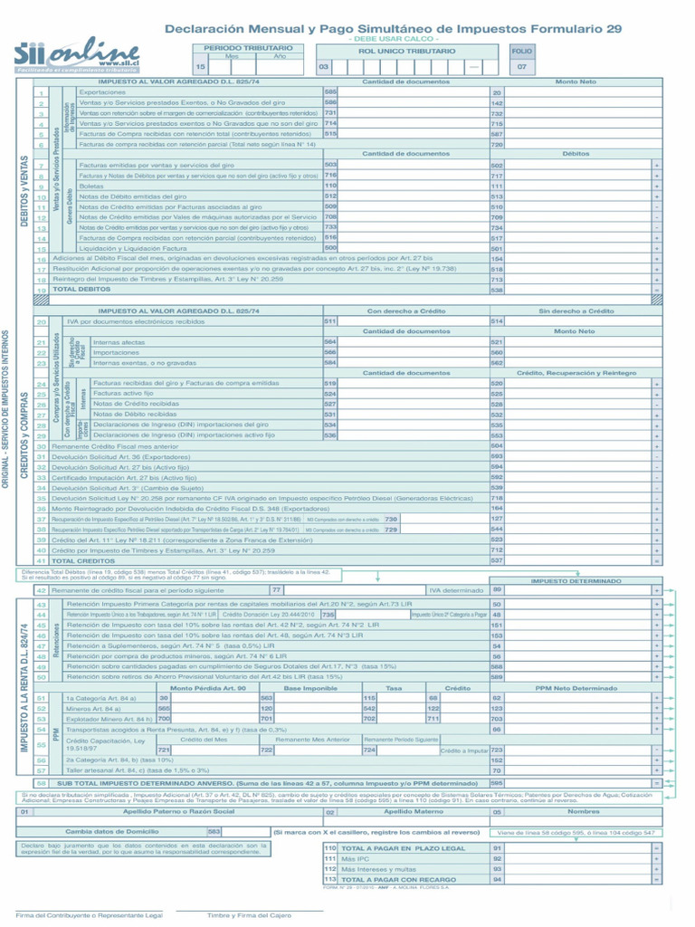 Formulario F29 Chile - 2025 (FORMATOA A4) | PDF