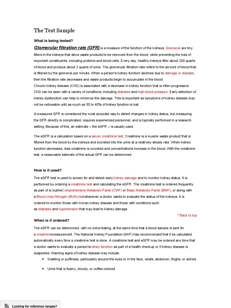 The Test Sample: Glomerular Filtration Rate (GFR) | Download Free PDF ...