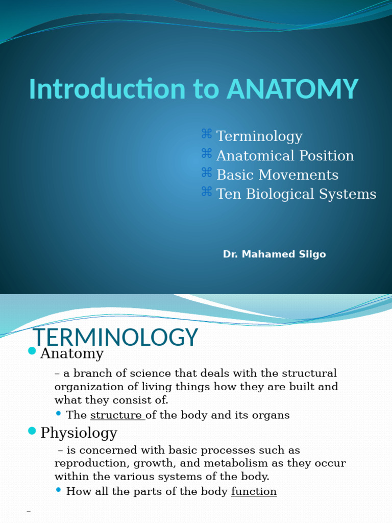 Anatomy Basics: Terminology & Systems | PDF | Anatomical Terms Of ...