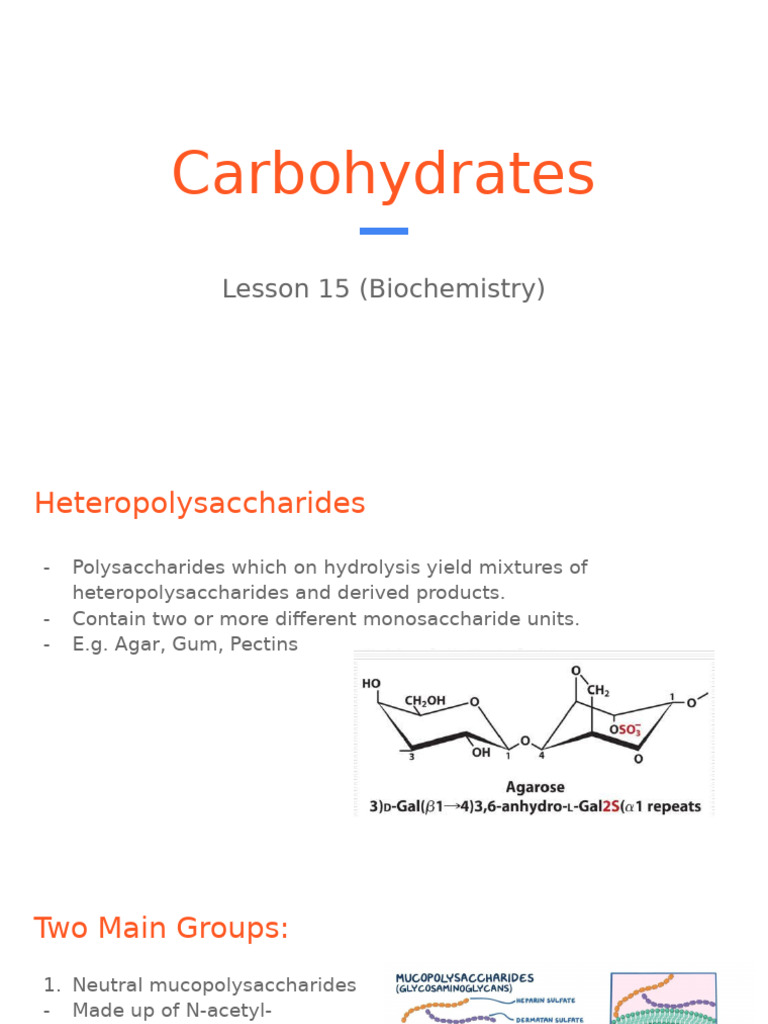 Lesson 15 - Carbohydrates | PDF | Carbohydrates | Carbohydrate Chemistry