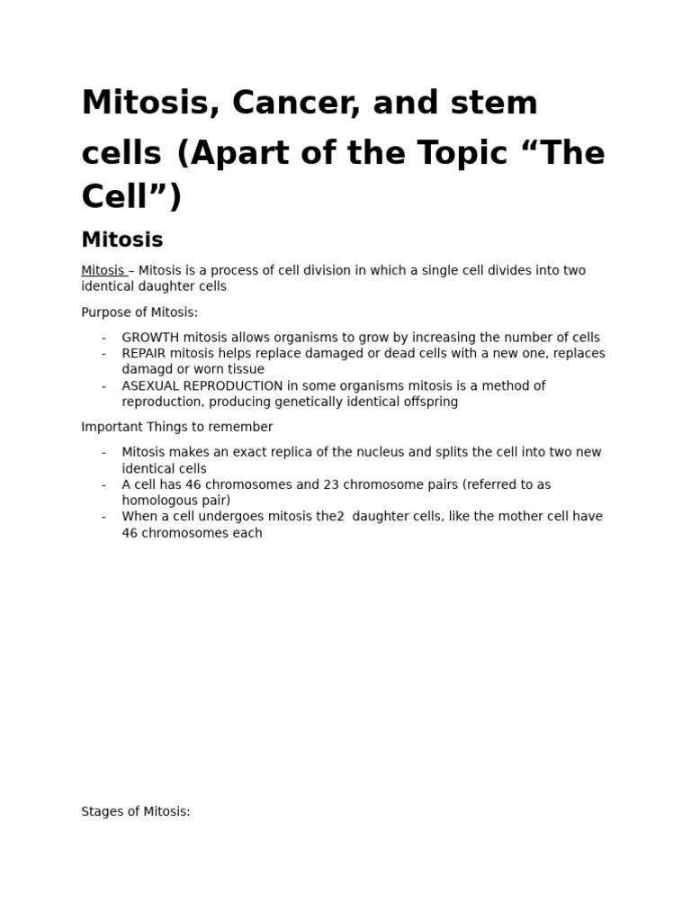 Mitosis, Cancer, and Stem Cells Notes | PDF | Mitosis | Cloning