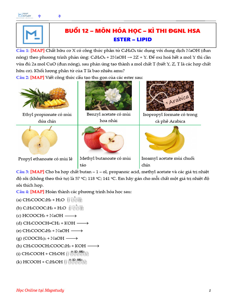 Tai Lieu Buoi 12 Bai Tap Ve Nha 1736483582513 | PDF