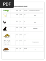 Animal Group Names List | PDF | Organisms