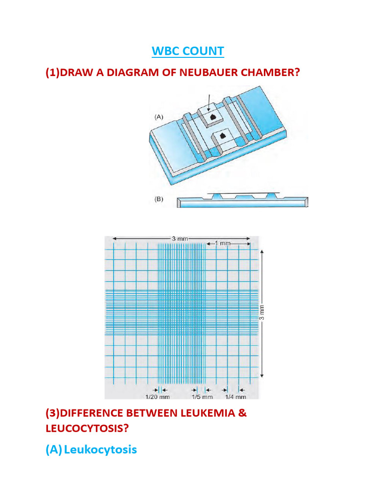 WBC Count: Neubauer Chamber Guide | PDF