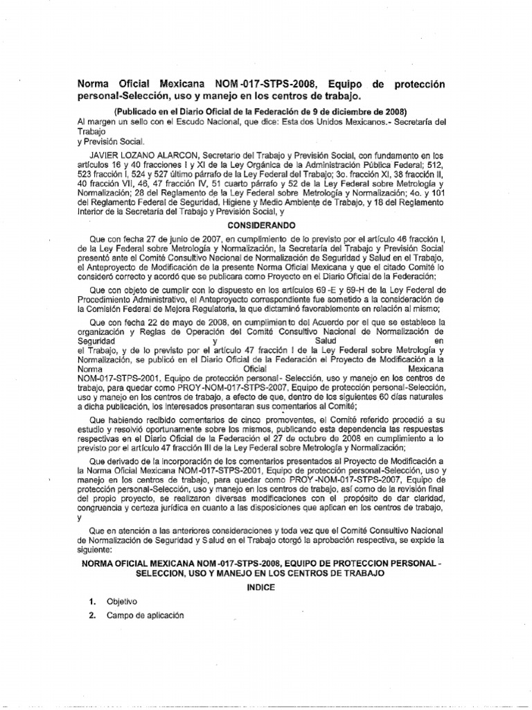 Nom 017 STPS 2008 | PDF