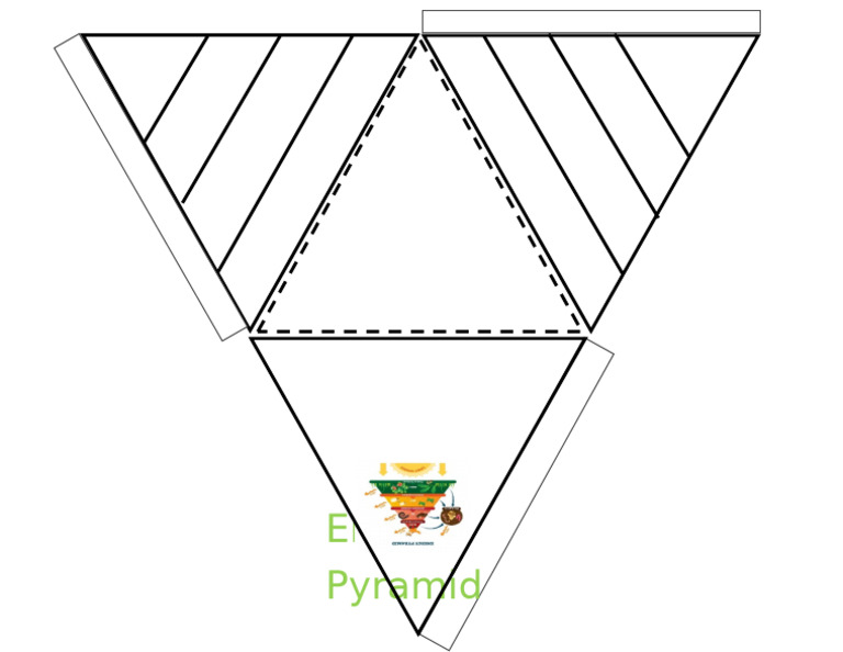 Trophic Pyramid | PDF