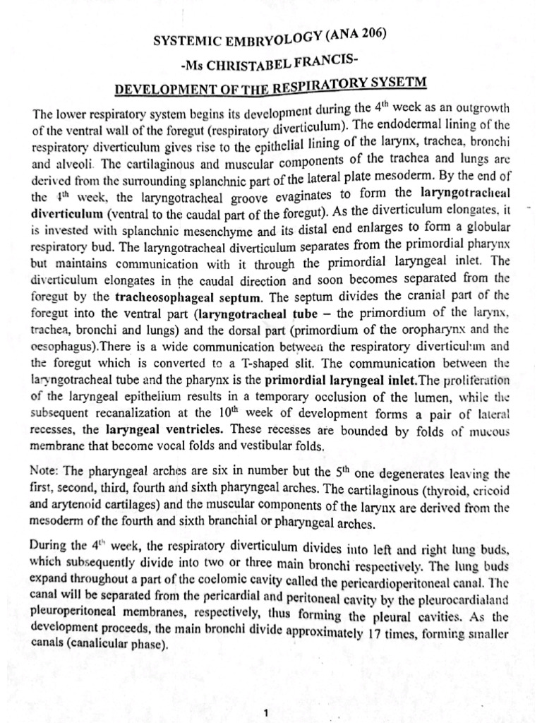 Systemic Embryology (Ana 206) | PDF