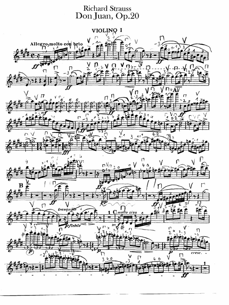 01 R. Strauss - Don Juan | PDF