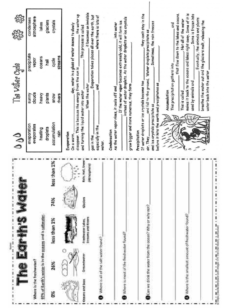 the water cycle (2) | PDF