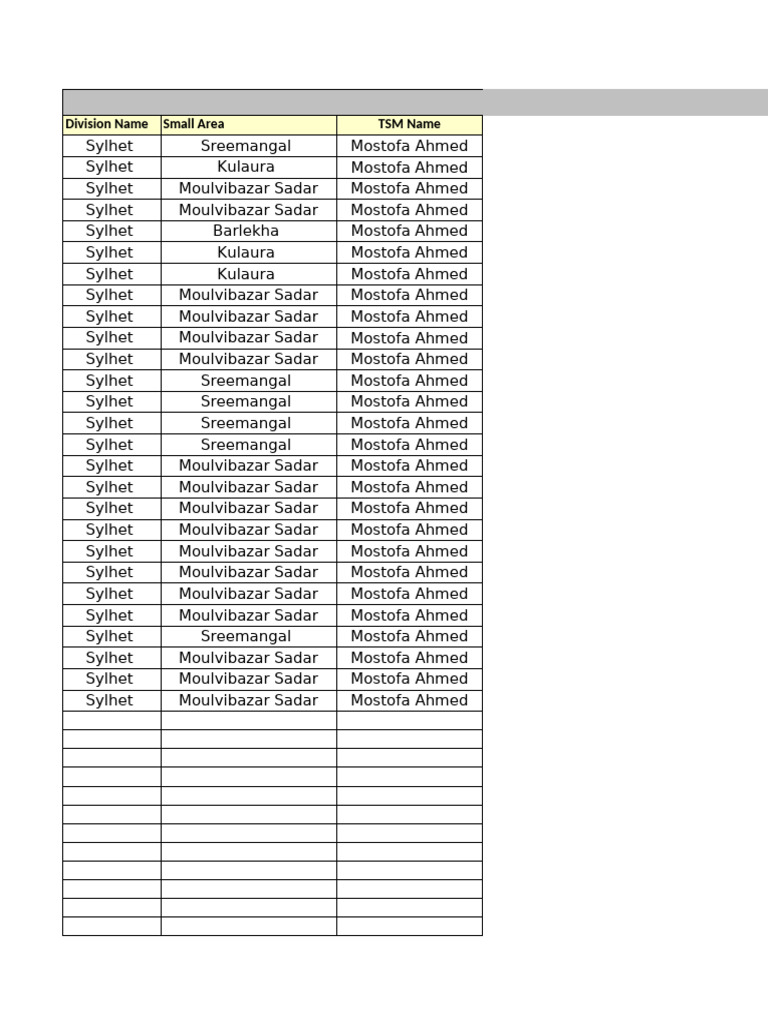 TSM Weekly Visit Plan File | PDF