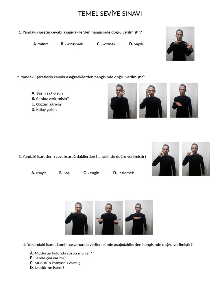 Temel Seviye Yeni Soru | PDF