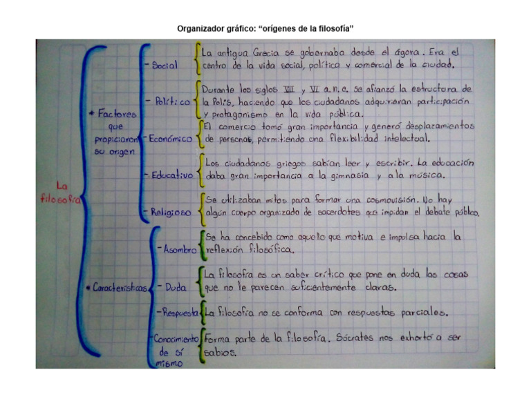Organizador Gráfico-2 | PDF