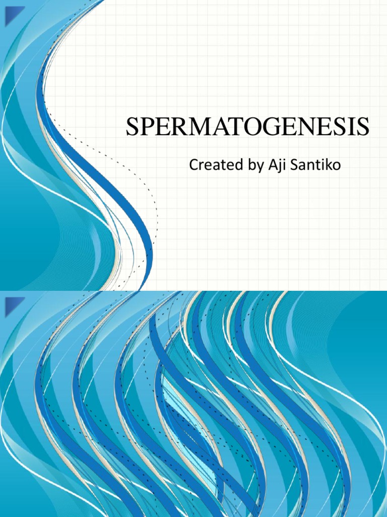 Spermatogenesis | PDF | Meiosis | Endocrine System
