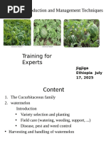 Watermelon Farming Guide | PDF | Watermelon | Soil