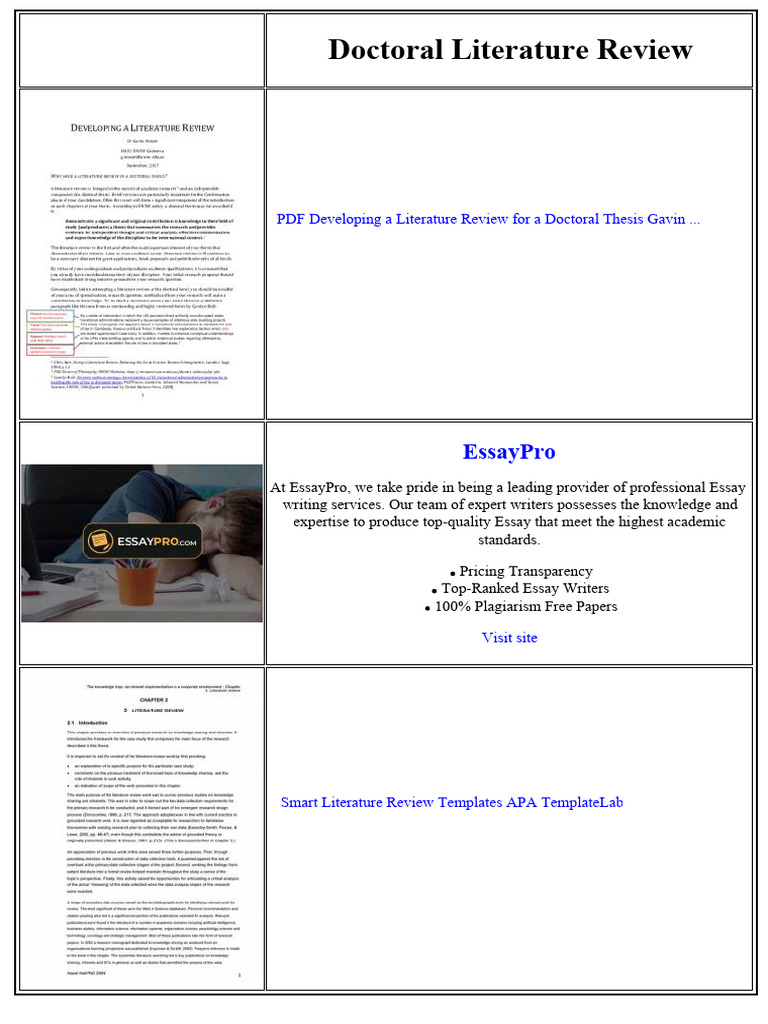 Doctoral Literature Review | PDF | Thesis | Essays