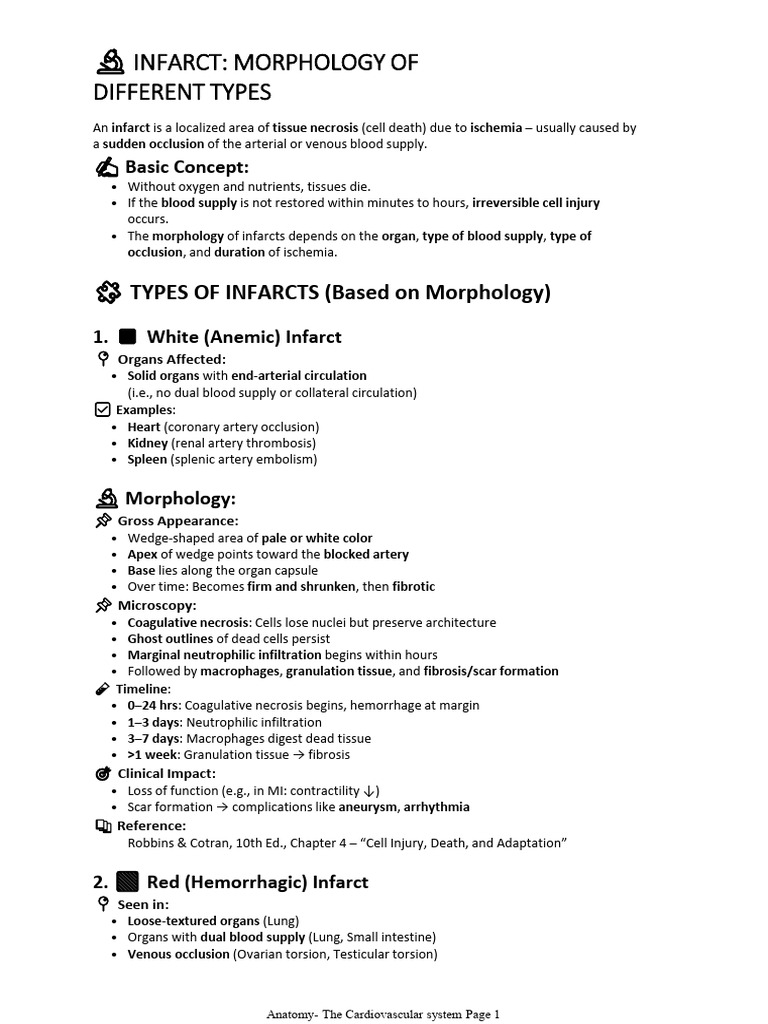 ? Infarct Morphology of Different Types | PDF | Ischemia | Stroke