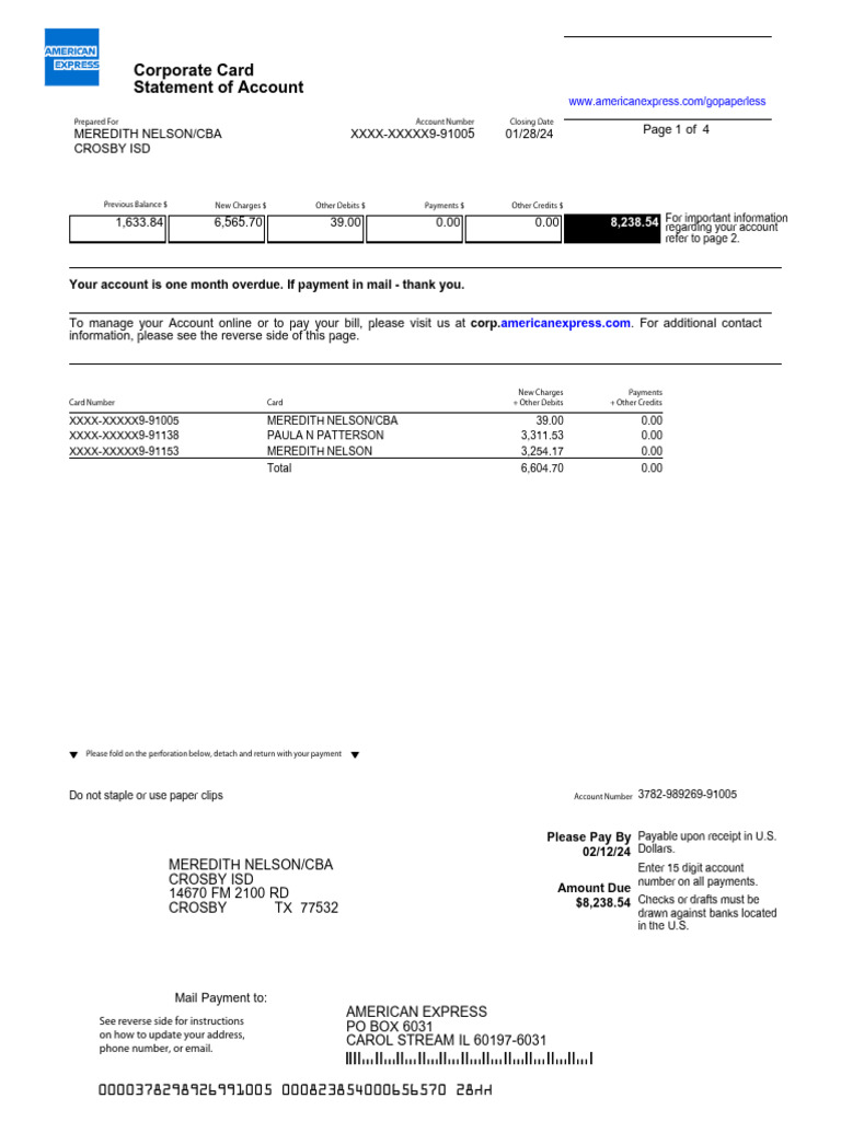 Cisd Amex 2024 | PDF | Cheque | Banks