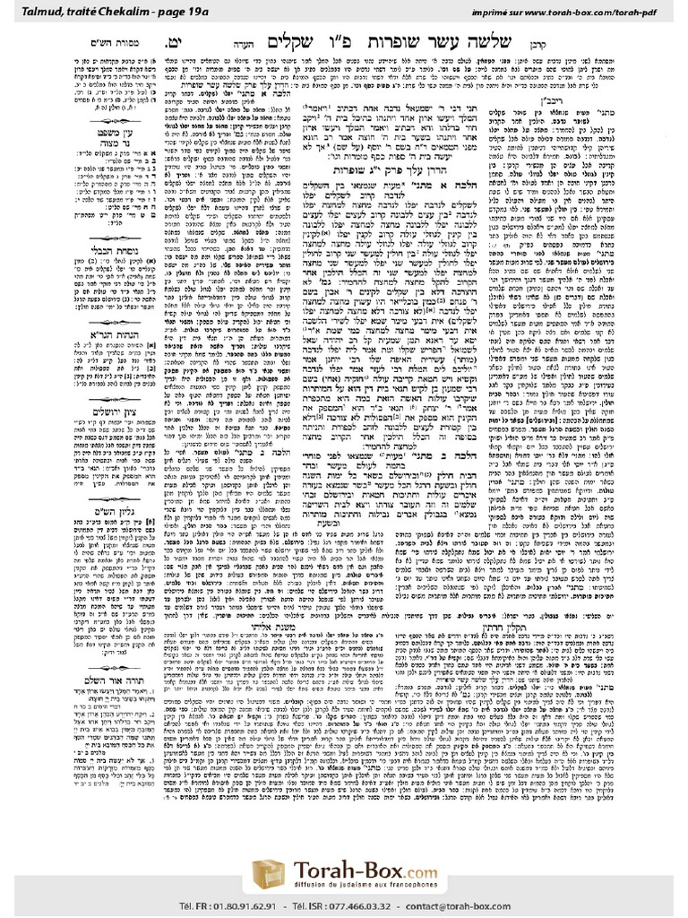 Talmud Chekalim 19a | PDF