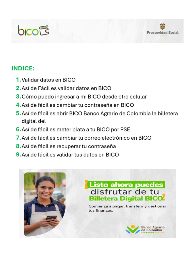 Manual Bico 1 | PDF