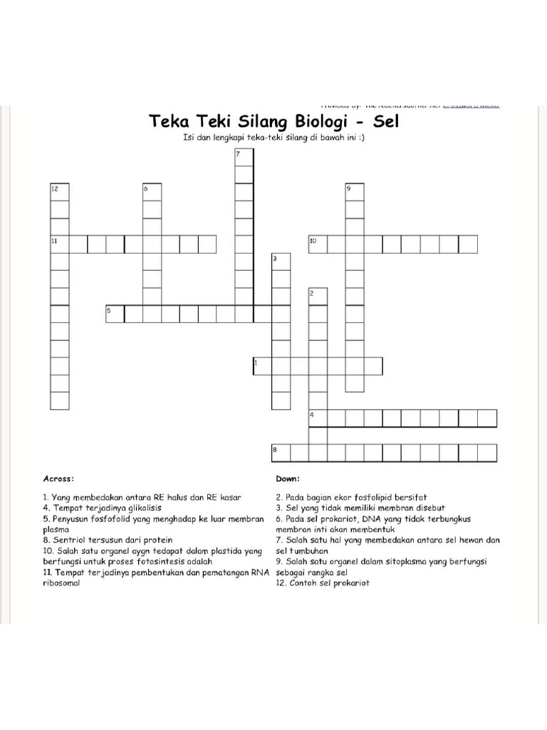 Img 20250730 081942 | PDF