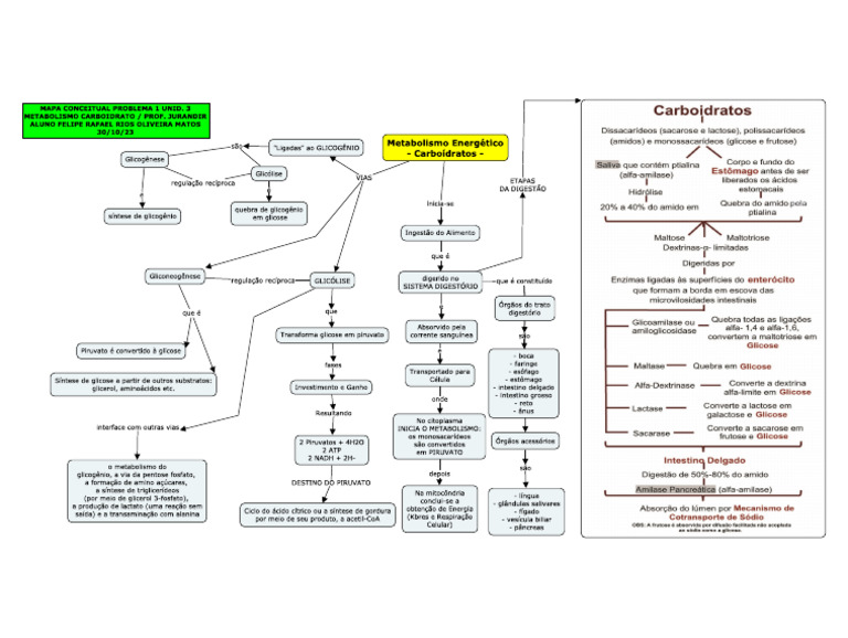 MAPA PROBLEMA 1 UNIDADE 3 Metabolismo Carboidrato | PDF