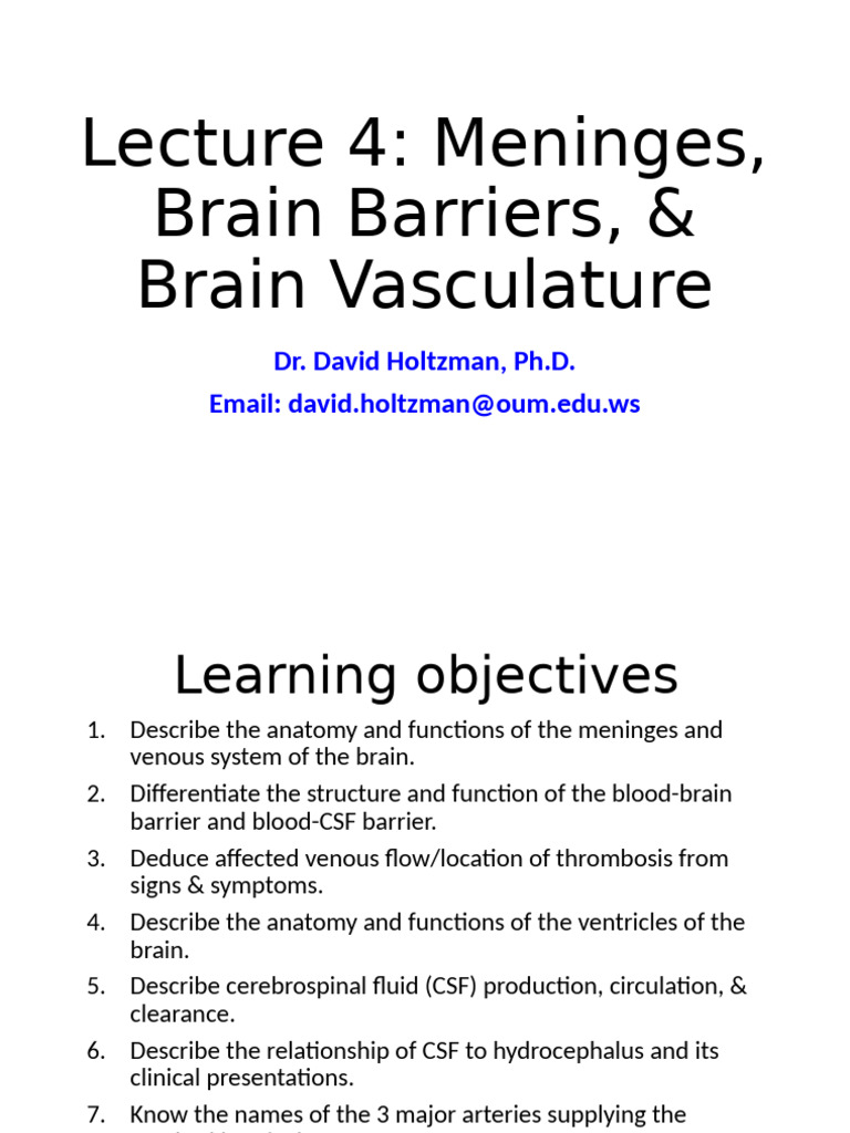 Lect 4 Meninges, Brain Barriers, and Brain Vasculature | PDF | Cerebrospinal Fluid | Nervous System