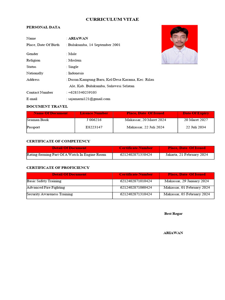 Cv Ariawan | PDF