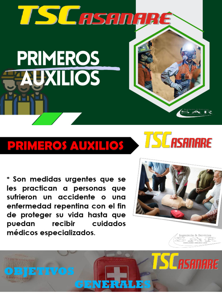 Primeros Auxilios Basicos 2025 | PDF | Legumbres | Primeros auxilios