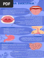 Itsmo de Las Fauces | PDF | Sistema musculoesquelético | Anatomía