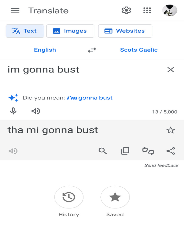 Google Translate | PDF