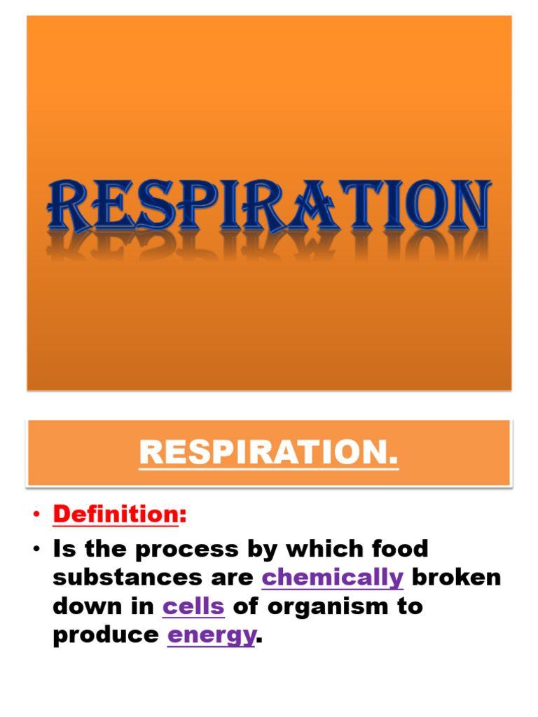Biology Crystal Super Notes f2 Respiration - Power Point Notes | PDF ...