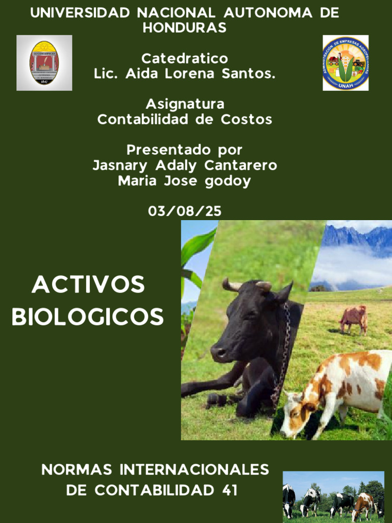 Presenetacion de Activos Biologicos 3 | PDF | normas internacionales de ...