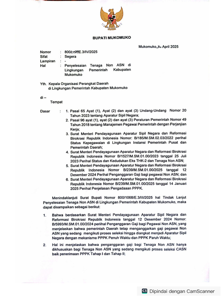 Surat Penyelesaian Tenaga Non ASN | PDF