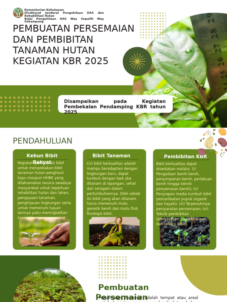 Pembuatan Persemaian Tanaman Hutan | PDF